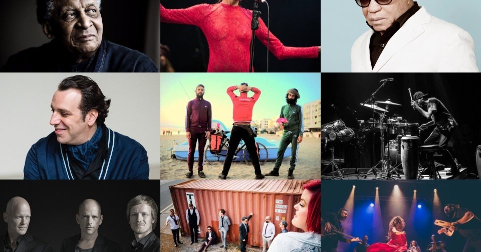 Serious shows at national festivals 2019 | Serious